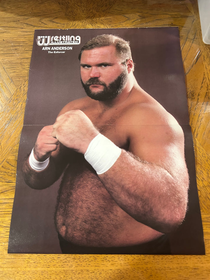 PWI Pro Wrestling Illustrated ARN ANDERSON Color Poster – The Wrestling ...