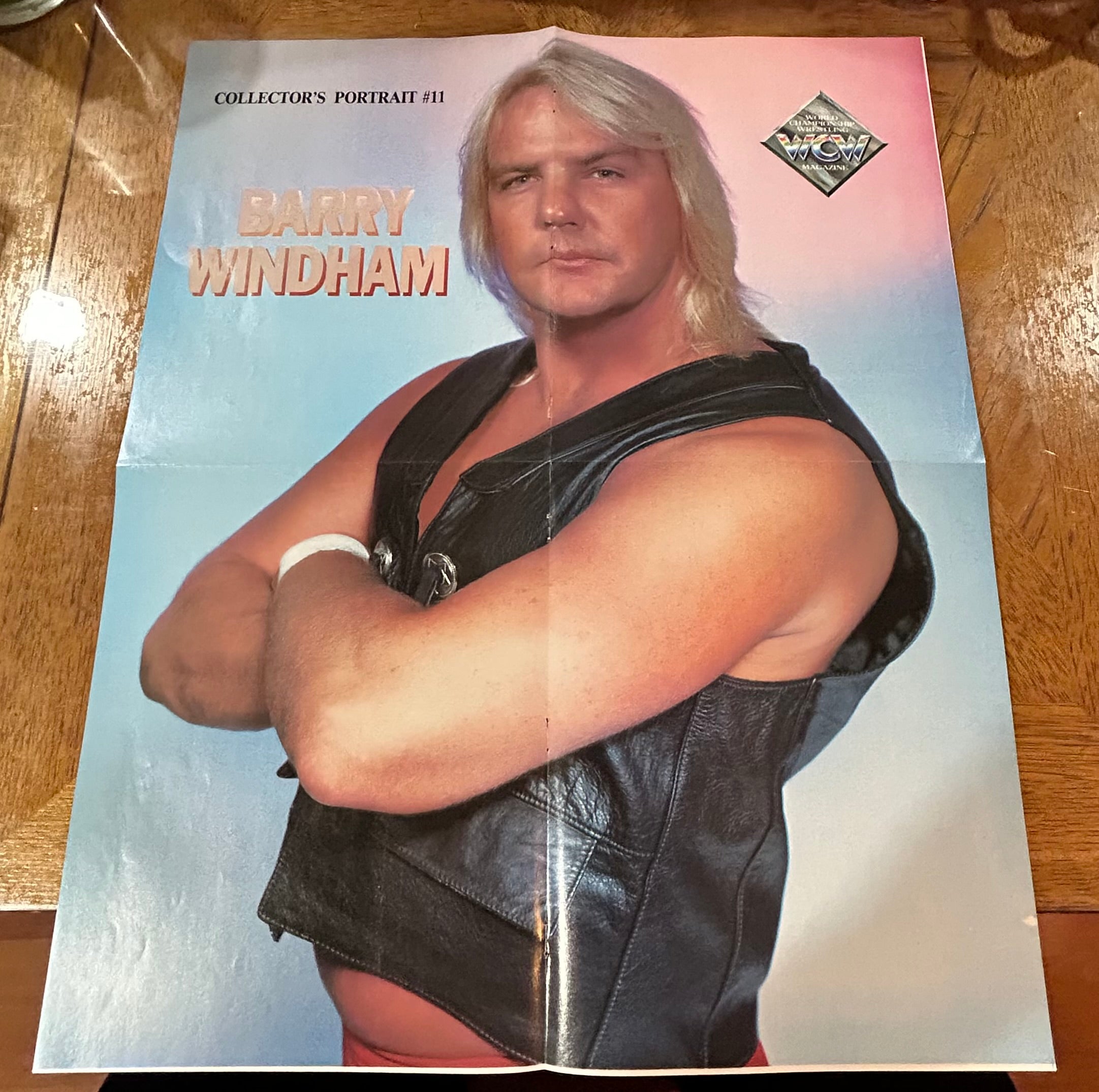 Barry Windham HUGE Full Color WCW Poster – The Wrestling Universe