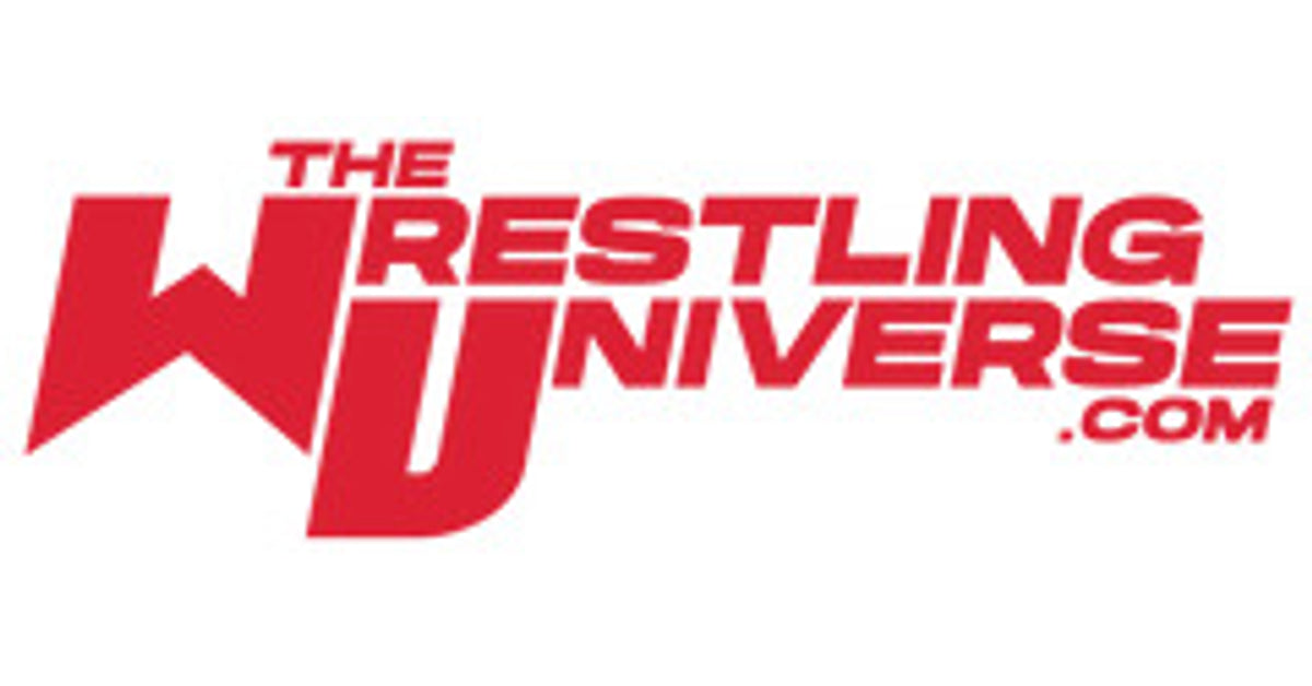 * The Young Bucks AEW Action Figures (Nick & Matt Jackson) – The ...