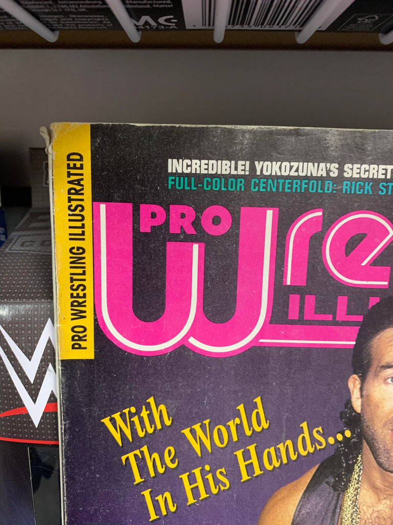 PWI Pro Wrestling Illustrated Magazine July 1994 Scott Hall Steamboat ...