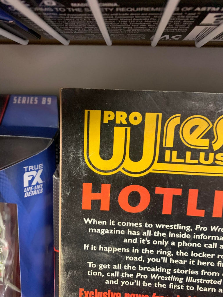 PWI Pro Wrestling Illustrated Magazine July 1994 Scott Hall Steamboat ...